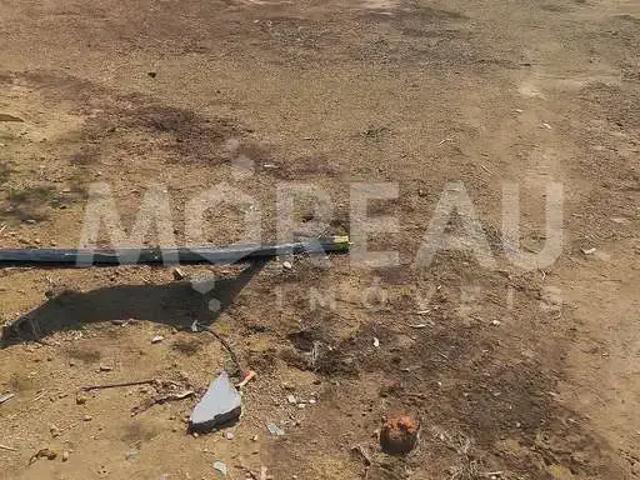 Terreno / Lote para Venda em Sinop/MT Jardim Portinari