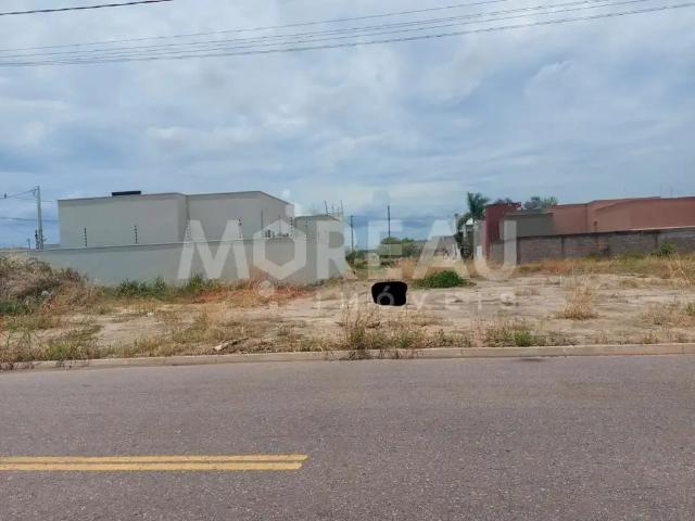 Terreno / Lote para Venda em Sinop/MT Jardim Portinari