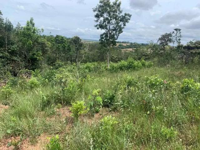 Terreno / Lote para Venda em Silvânia/GO Zona Rural