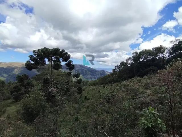 Terreno / Lote para Venda em Silveiras/SP Centro