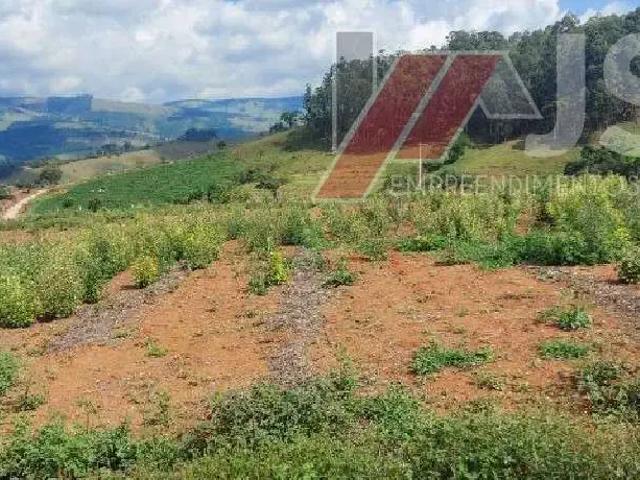 Terreno / Lote para Venda em Socorro/SP Camilos