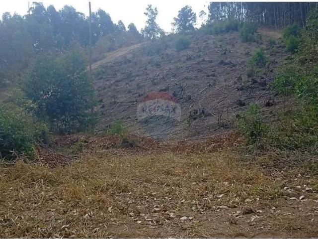 Terreno / Lote para Venda em Socorro/SP Centro