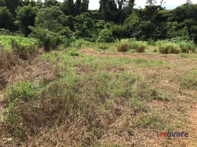 Terreno / Lote para Venda em Socorro/SP Dos Nogueiras