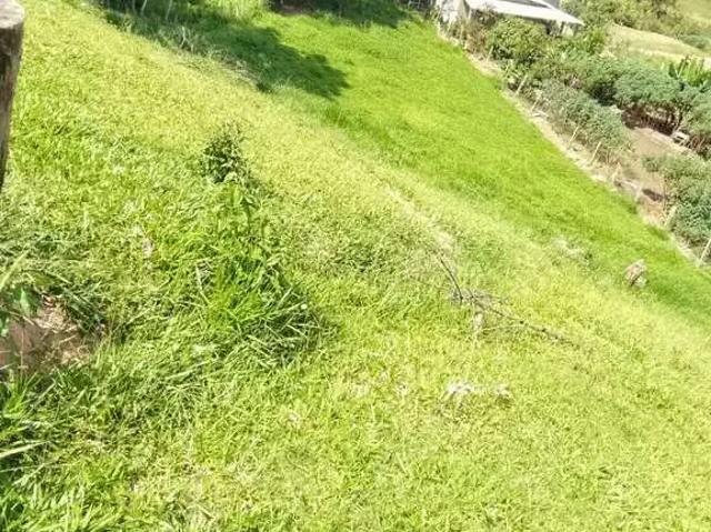 Terreno / Lote para Venda em Socorro/SP Lagoa