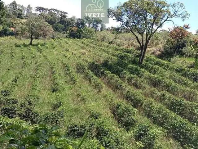 Terreno / Lote para Venda em Socorro/SP Lagoa