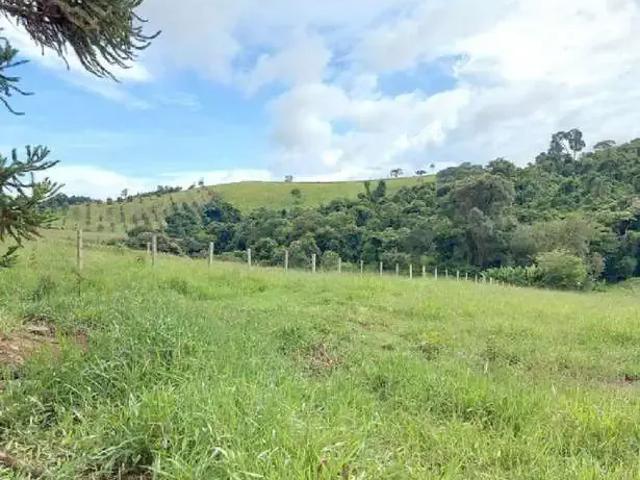 Terreno / Lote para Venda em Socorro/SP Pereiras