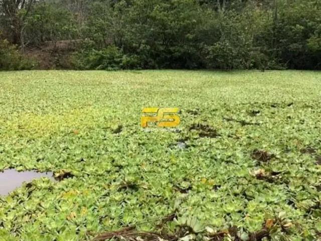 Terreno / Lote para Venda em Solânea/PB Zona Rural
