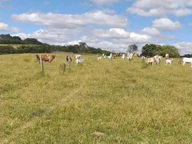 Terreno / Lote para Venda em Sorocaba/SP Itavuvu