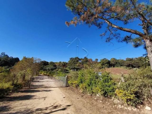 Terreno / Lote para Venda em Sorocaba/SP Jardim Josane