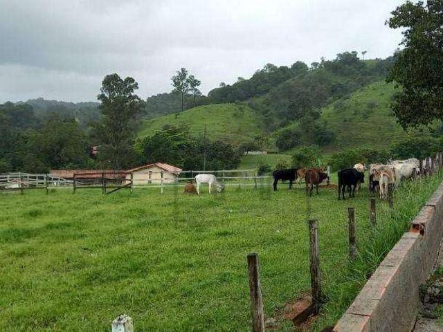 Terreno / Lote para Venda em Sorocaba/SP Jardim Josane