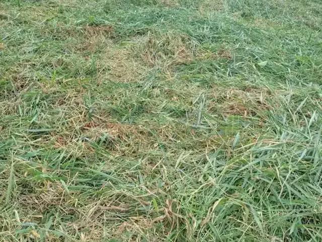 Terreno / Lote para Venda em Sorocaba/SP Jardim Piazza di Roma