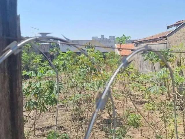 Terreno / Lote para Venda em Sumaré/SP Jardim das Palmeiras