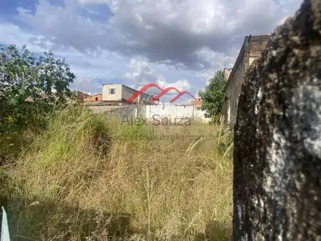 Terreno / Lote para Venda em Sumaré/SP Jardim Dulce Nova Veneza