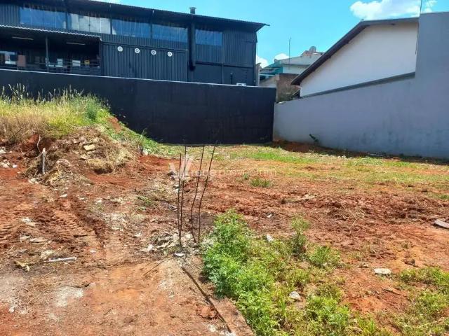 Terreno / Lote para Venda em Sumaré/SP Jardim Maria Antonia Nova Veneza
