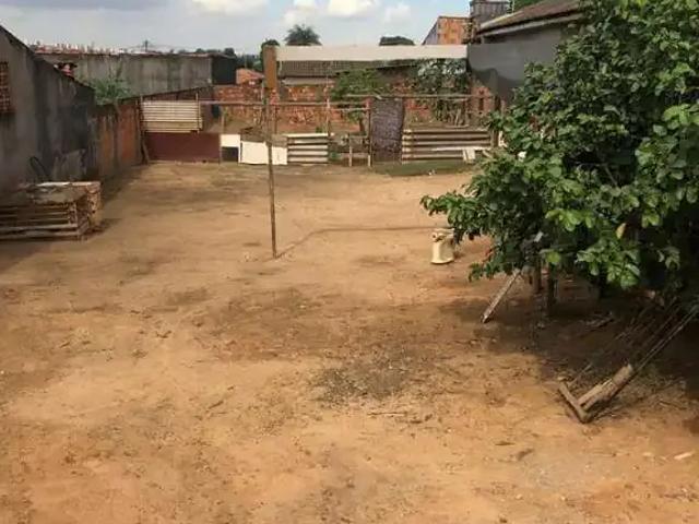Terreno / Lote para Venda em Sumaré/SP Jardim Minezotta Nova Veneza