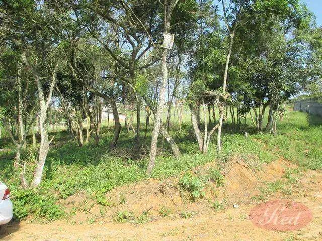 Terreno / Lote para Venda em Suzano/SP Vila São Pedro