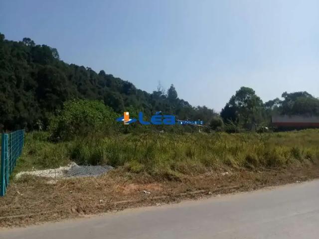 Terreno / Lote para Venda em Suzano/SP Vila São Pedro
