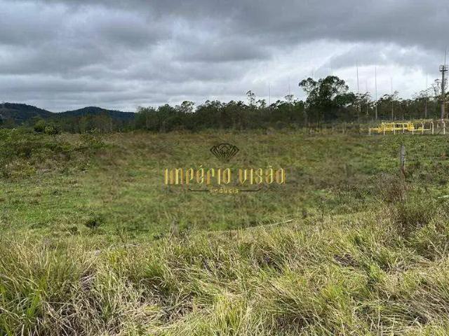 Terreno / Lote para Venda em Suzano/SP Vila Theodoro
