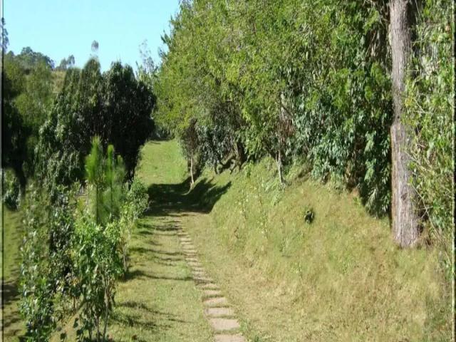 Terreno / Lote para Venda em Suzano/SP Centro