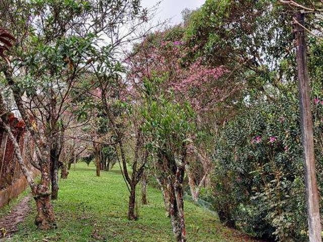 Terreno / Lote para Venda em Suzano/SP Chácaras Duchen