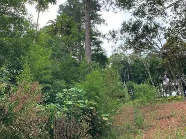 Terreno / Lote para Venda em Suzano/SP Chácaras Monte Carlo