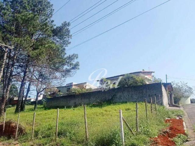 Terreno / Lote para Venda em Suzano/SP Cidade Edson