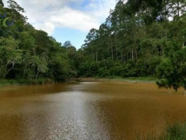 Terreno / Lote para Venda em Suzano/SP Estância Angelina