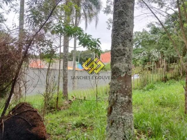 Terreno / Lote para Venda em Suzano/SP Fazenda Aya