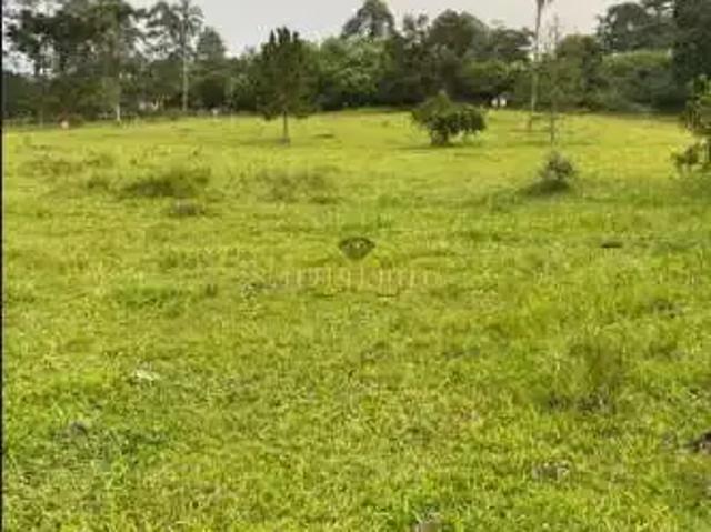 Terreno / Lote para Venda em Suzano/SP Jardim Chácara Méa