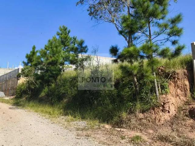 Terreno / Lote para Venda em Suzano/SP Jardim dos Eucaliptos