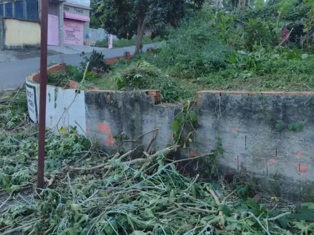 Terreno / Lote para Venda em Suzano/SP Jardim das Flores