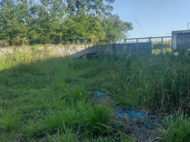 Terreno / Lote para Venda em Suzano/SP Jardim Maite