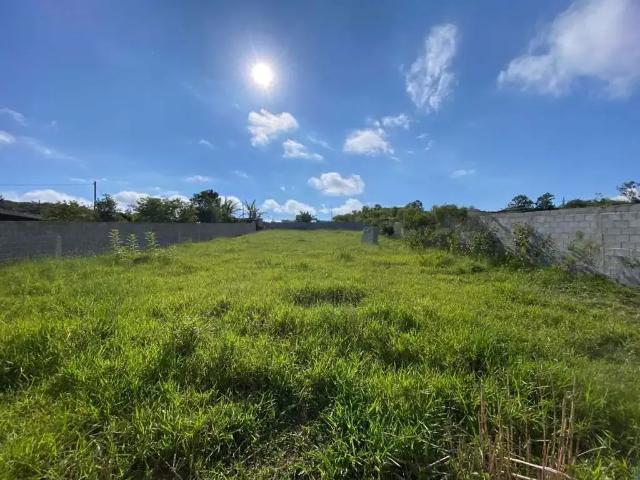 Terreno / Lote para Venda em Suzano/SP Jardim Nova Ipelândia