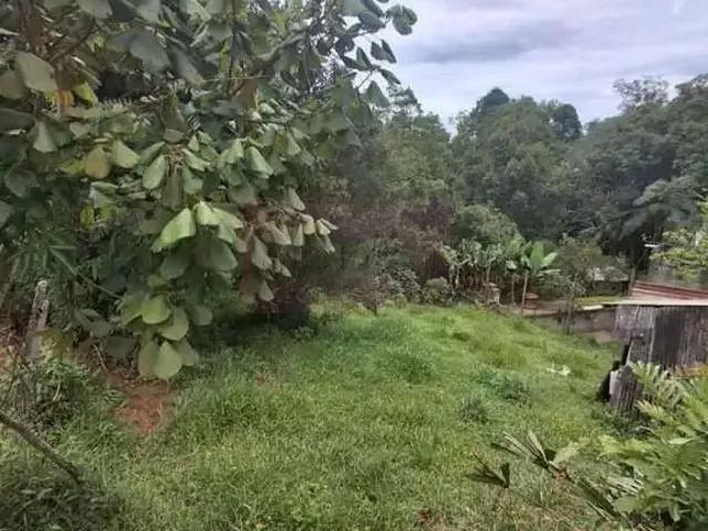 Terreno / Lote para Venda em Suzano/SP Jardim São Marcos