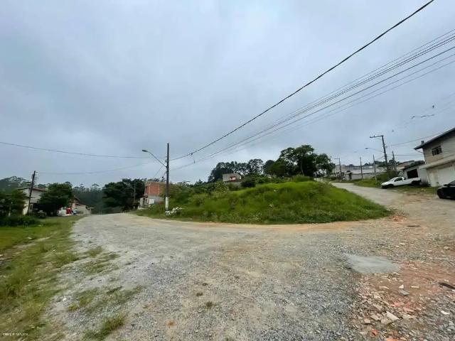 Terreno / Lote para Venda em Suzano/SP Jardim São Luís