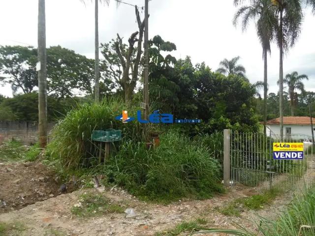 Terreno / Lote para Venda em Suzano/SP Jardim Santa Inês