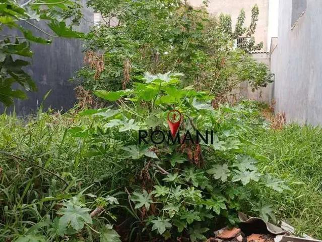 Terreno / Lote para Venda em Suzano/SP Jardim Suzanópolis