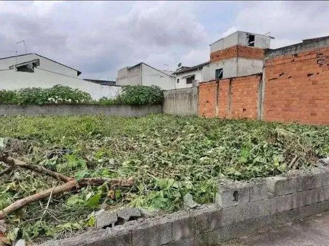 Terreno / Lote para Venda em Suzano/SP Jardim Quaresmeira