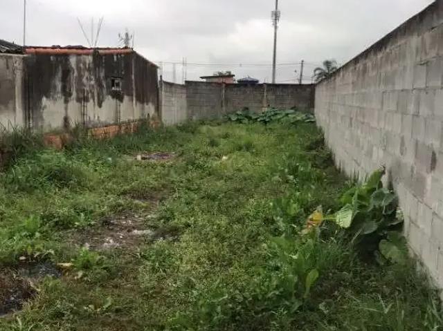 Terreno / Lote para Venda em Suzano/SP Jardim Vitória