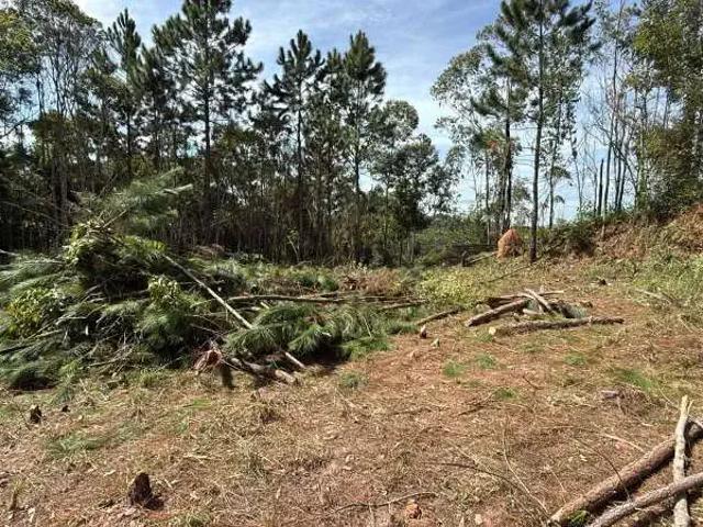 Terreno / Lote para Venda em Suzano/SP Palmeiras de São Paulo