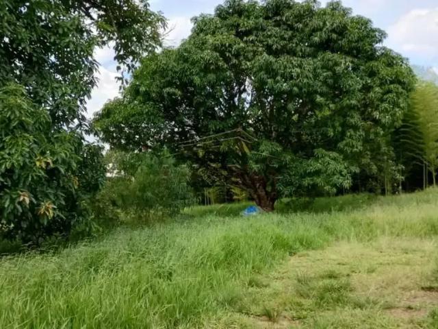 Terreno / Lote para Venda em Suzano/SP Parque Alvorada