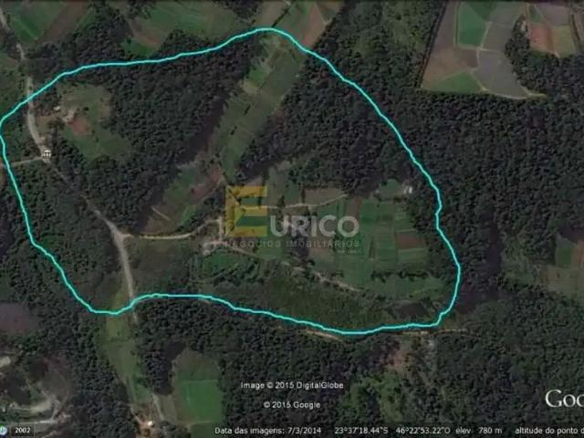 Terreno / Lote para Venda em Suzano/SP Parque Santa Rosa