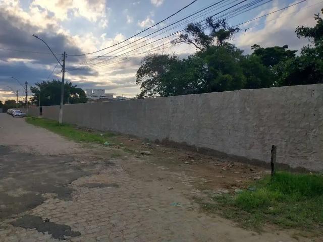 Terreno / Lote para Locação em Campos dos Goytacazes/RJ Parque Rosário