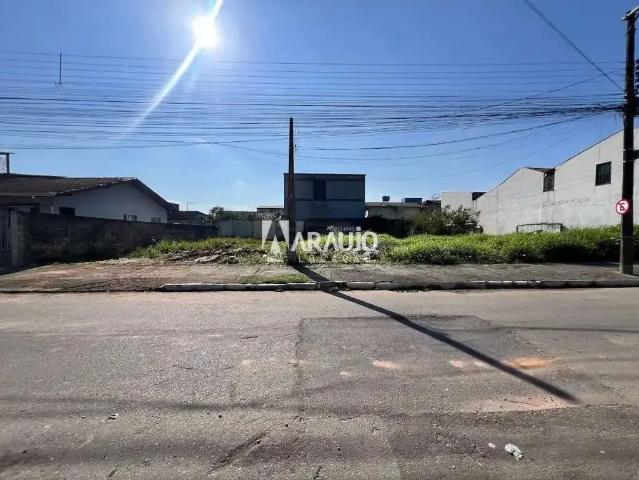 Terreno / Lote para Locação em Itajaí/SC Cordeiros