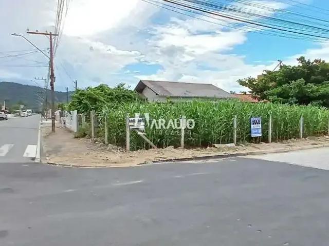 Terreno / Lote para Locação em Navegantes/SC Gravata