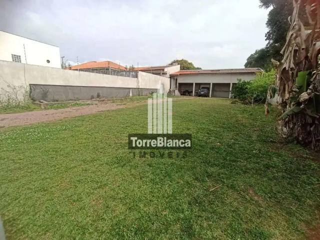 Terreno / Lote para Locação em Ponta Grossa/PR Orfãs