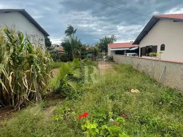 Terreno / Lote para Locação em Tijucas/SC Universitário