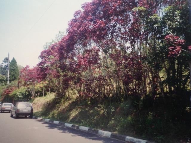 Terreno Lote R. Rio Bonito rua fechada, local alto!