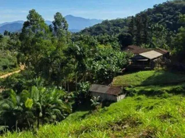 Terreno / Lote à venda, Três Rios do Norte Jaraguá do Sul/SC