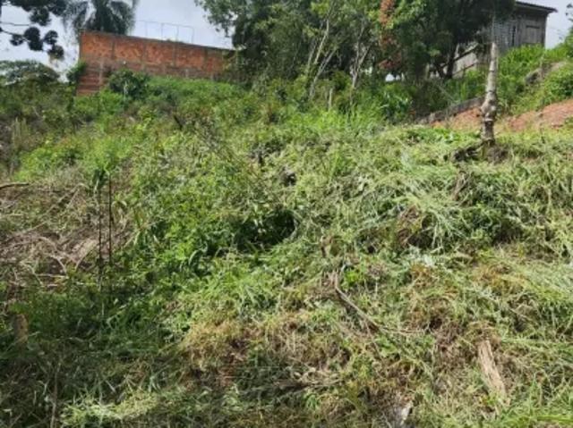 Terreno Lote vila torres campo largo
